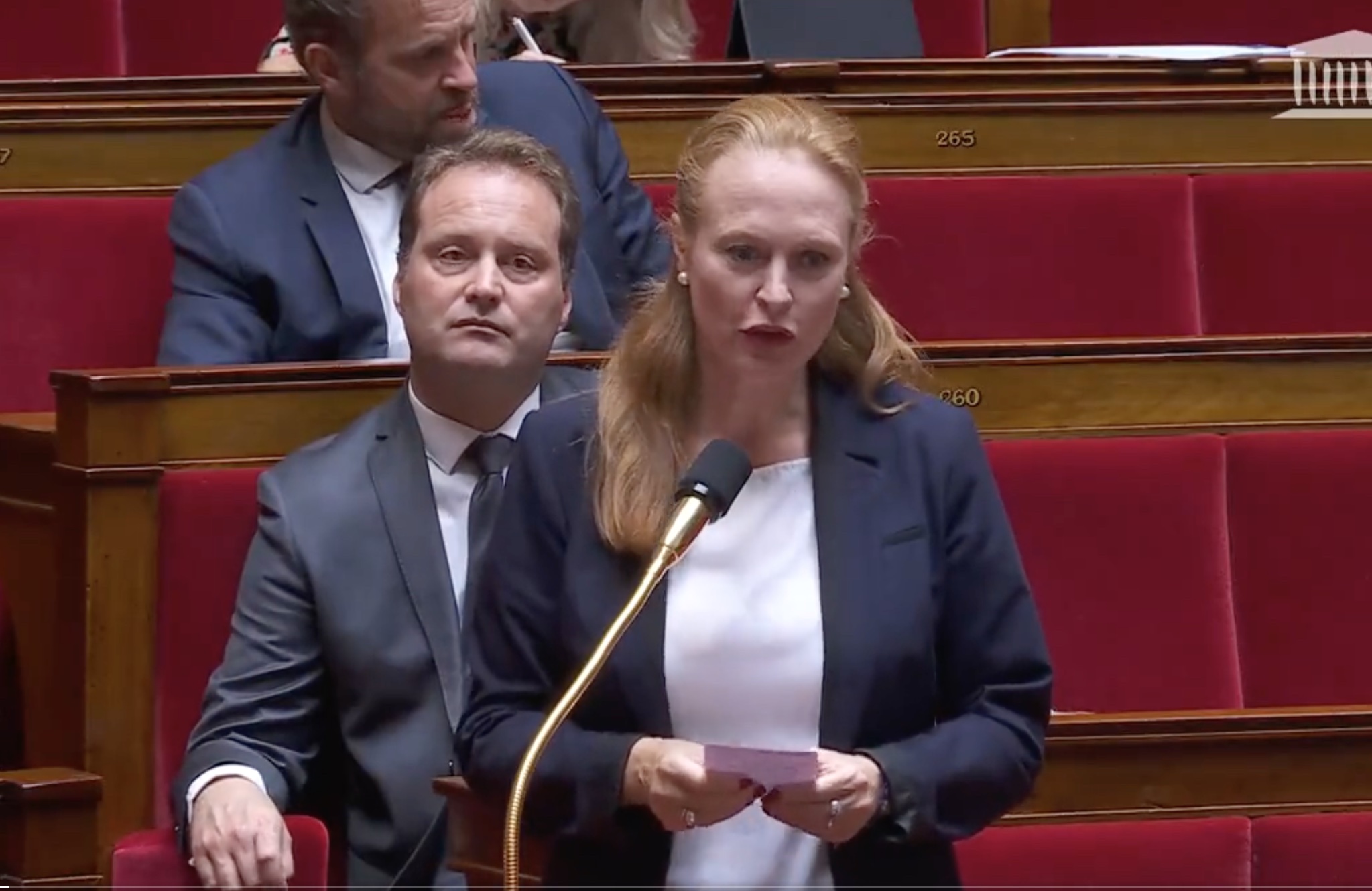 Débat sur l'amendement de la NUPES sur le budget Culture 2023 ...